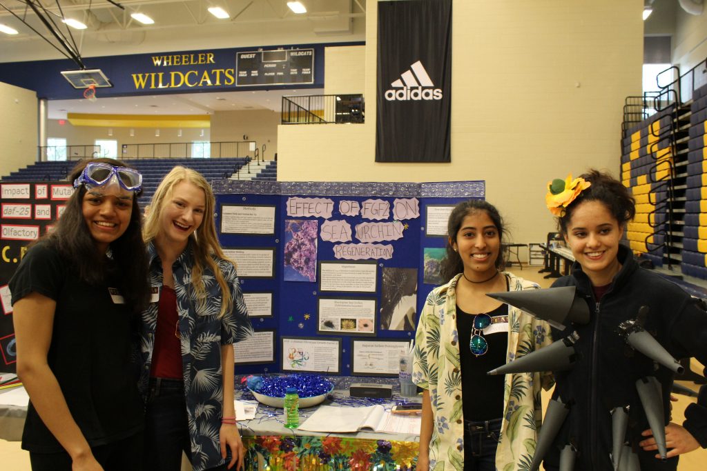 Board Members | Wheeler Magnet Foundation